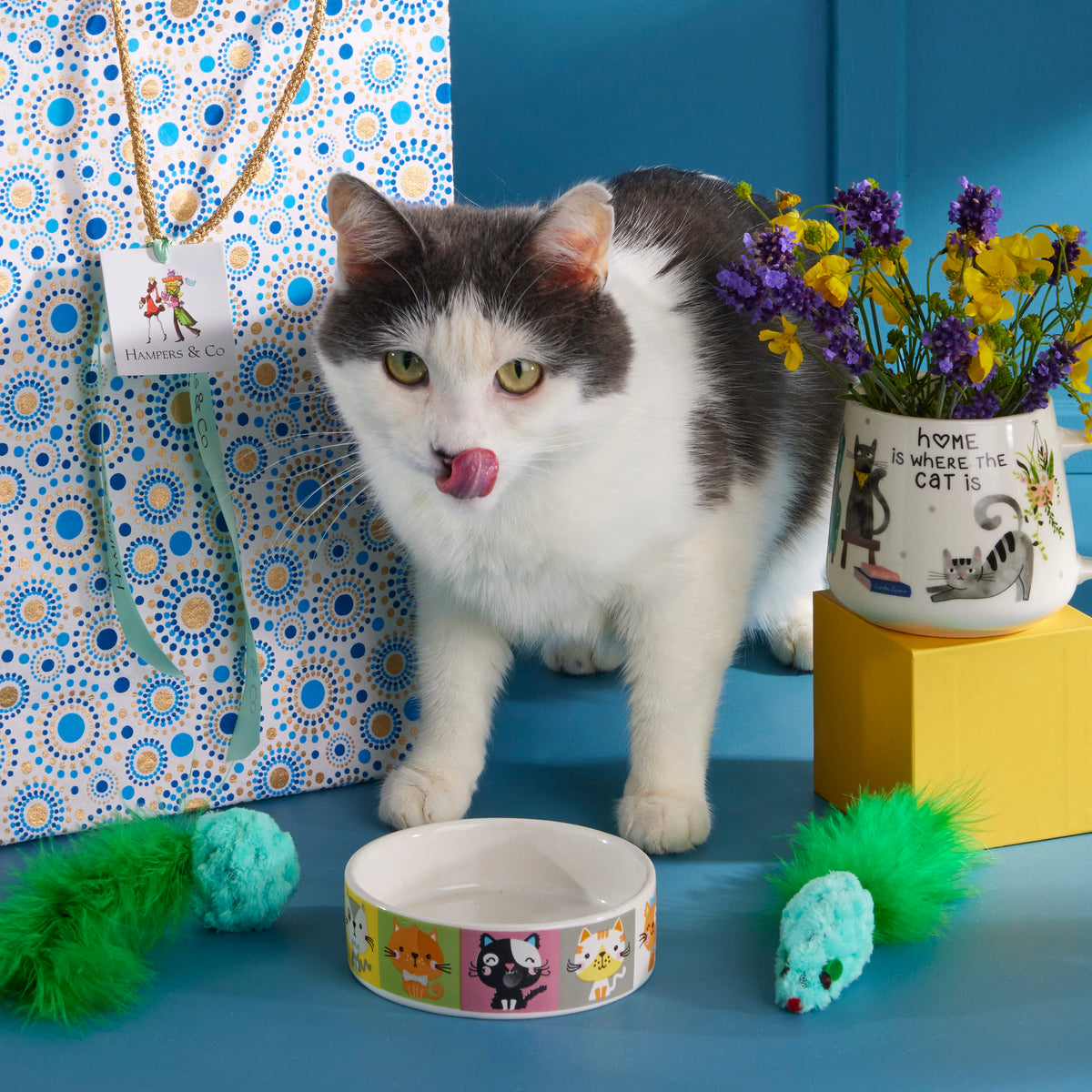 Pet Gift Hampers: Pamper Your Pets with the Perfect Gift Hamper ...